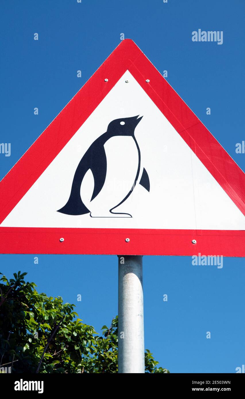 Road sign and penguin warning sign hi-res stock photography and images ...