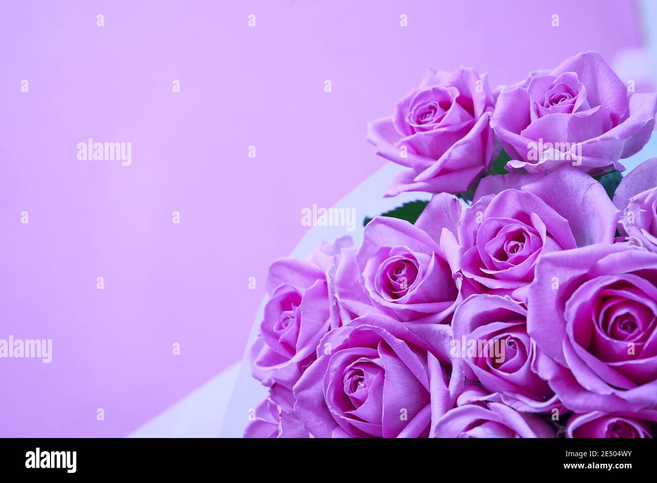Beautiful lilac hi-res stock photography and images - Alamy