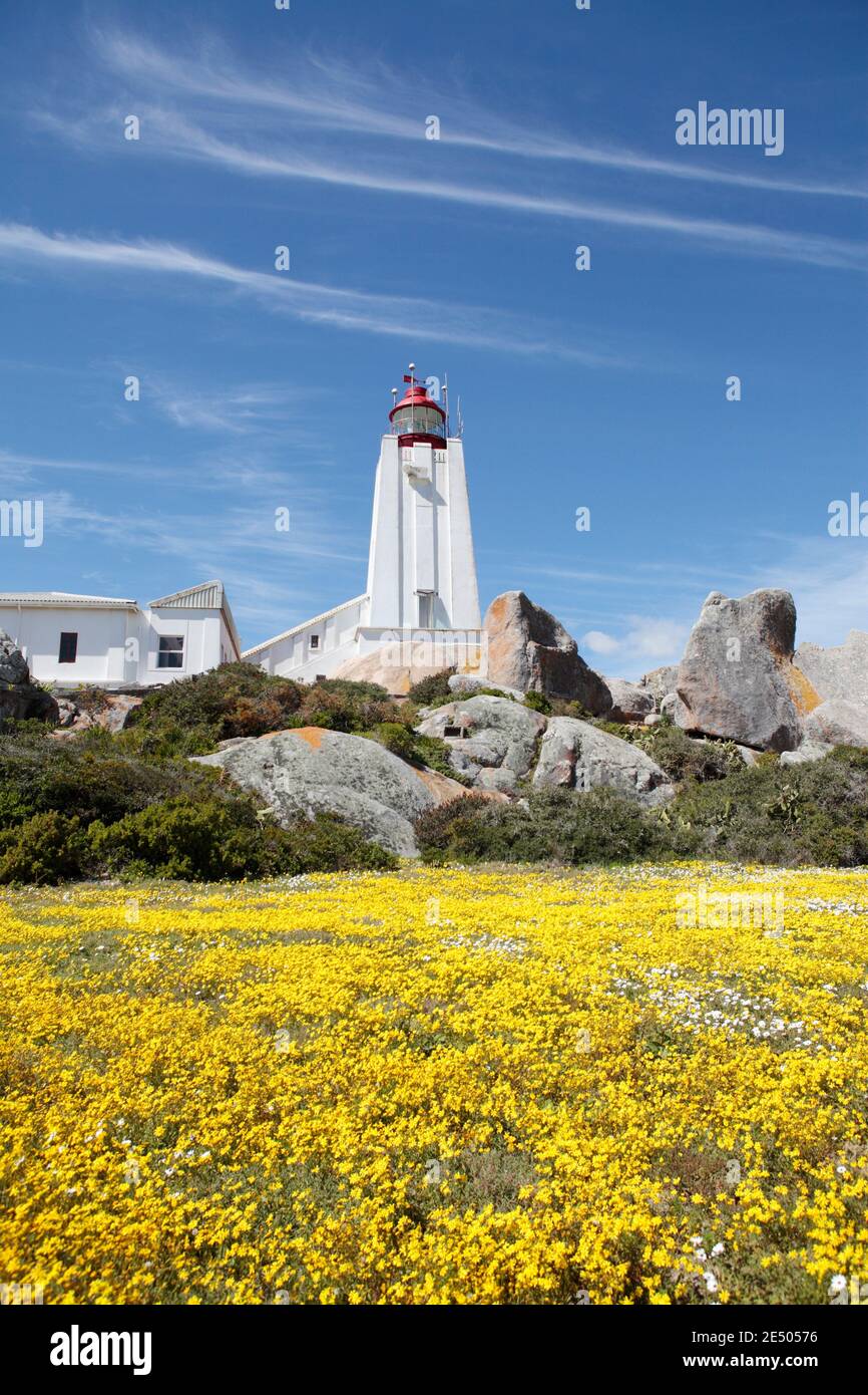 Cape Columbine Lighthouse in the Spring, Paternoster, Western Cape ...