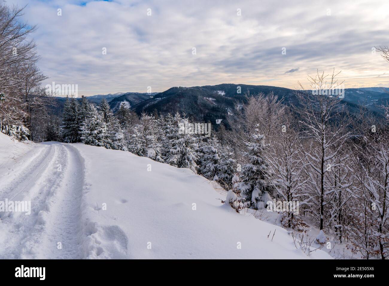Mountain road in winter snow, Winter landscape in clear weather ...