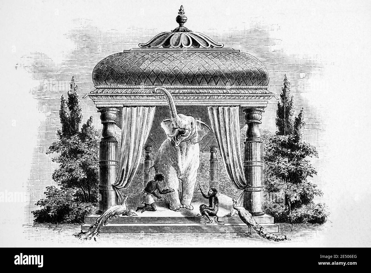 Illustration in Heine´s poem "der Weiße Elephant" or The White Elephant ...