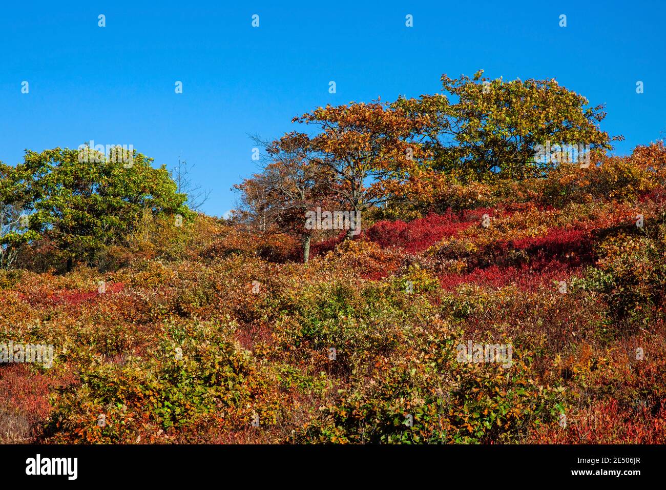 Moosic Mountain in Lackawanna County, Pennsylvania encompasses 15,000 ...