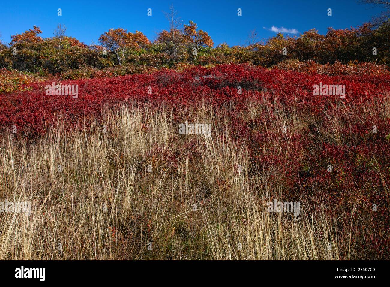 Moosic Mountain in Lackawanna County, Pennsylvania encompasses 15,000 ...