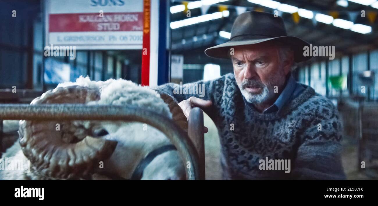 Sam Neill in a scene from ©Samuel Goldwyn Films new film: Rams (2020 ...