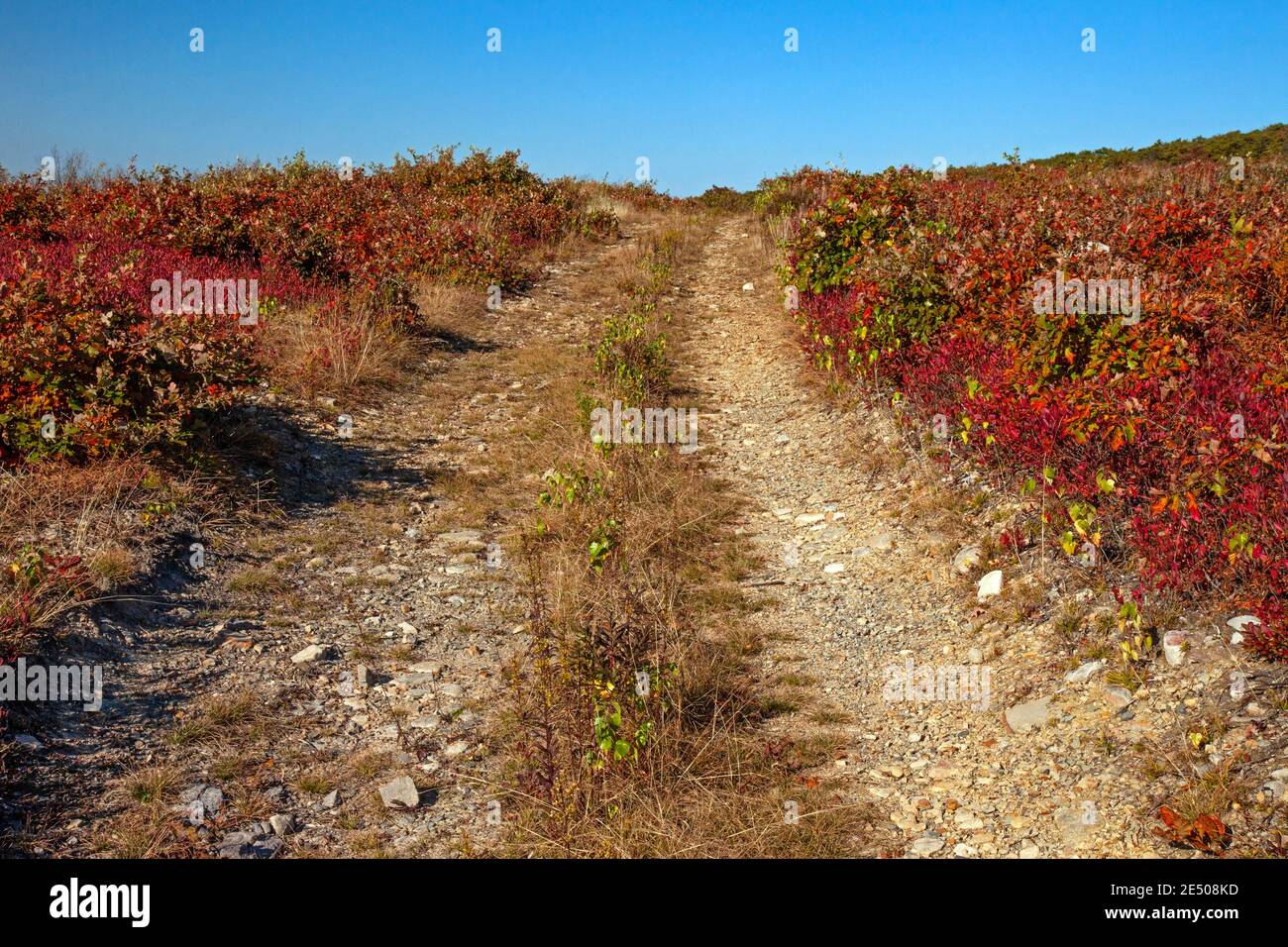 Barren lands hi-res stock photography and images - Alamy