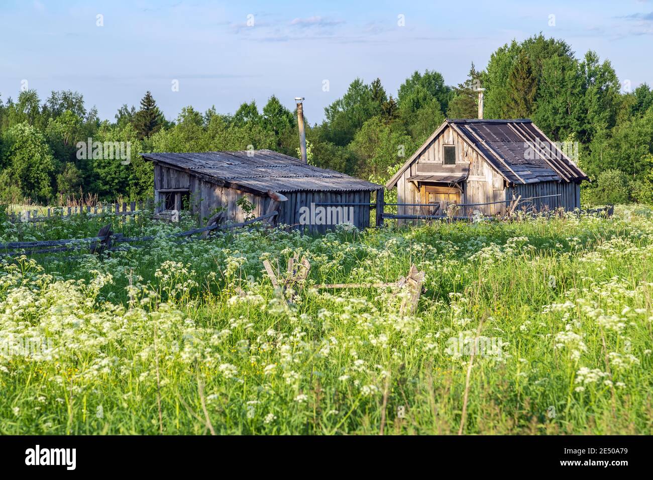 Farm House blockhouse in the green forest meadow landscape Stock Photo ...