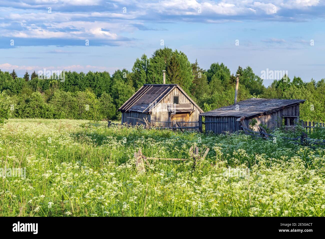 Country house landscape forest scene garden Stock Photo - Alamy