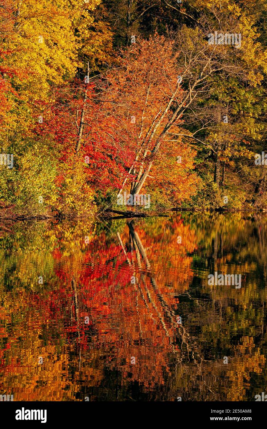 Fall colors and reflections, Delaware Water Gap, PA Stock Photo - Alamy