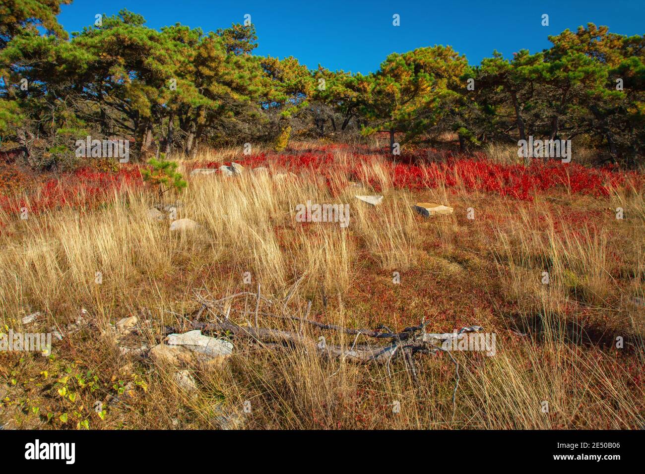 Moosic Mountain in Lackawanna County, Pennsylvania encompasses 15,000 ...
