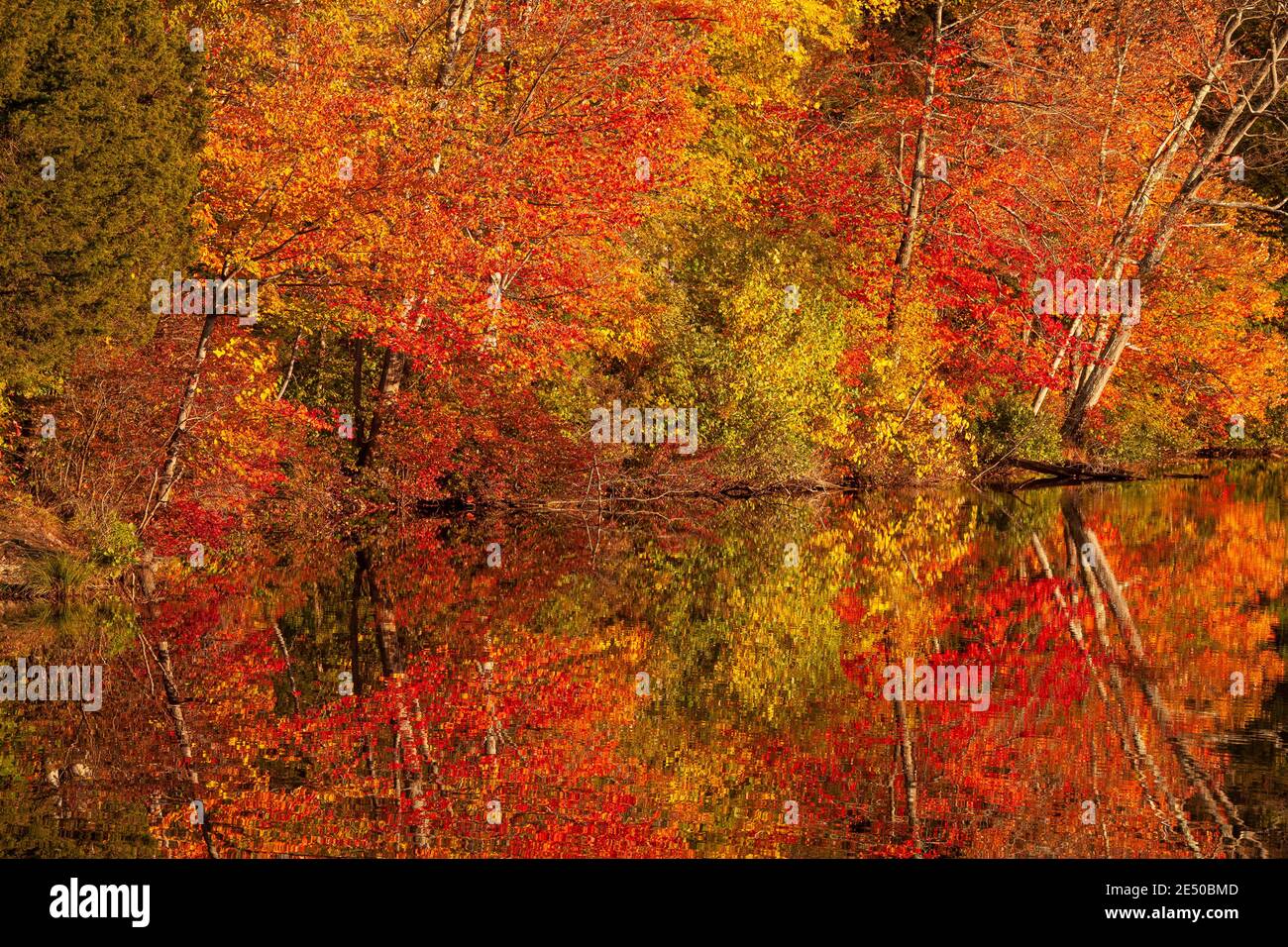 Fall colors and reflections, Delaware Water Gap, PA Stock Photo - Alamy