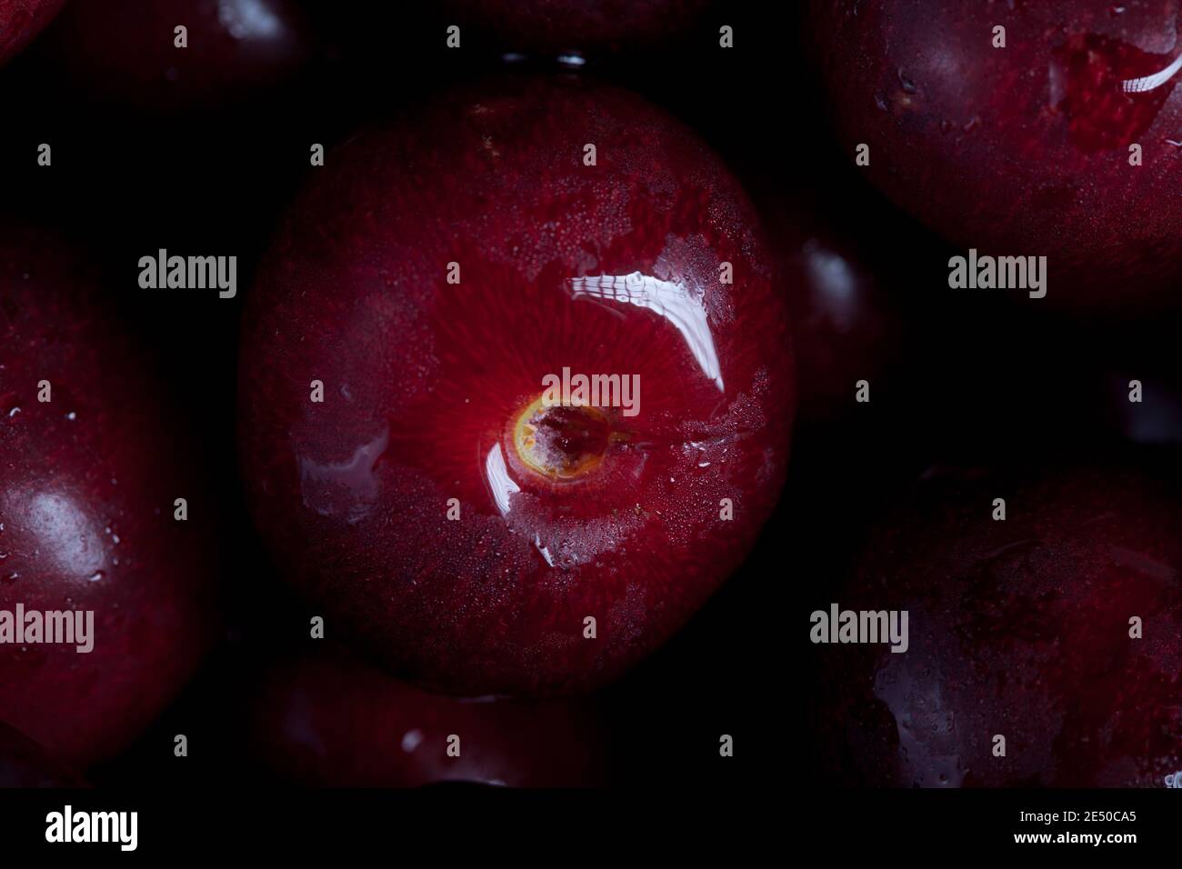 big fresh ripe black cherry super macro photo with blurred background ...