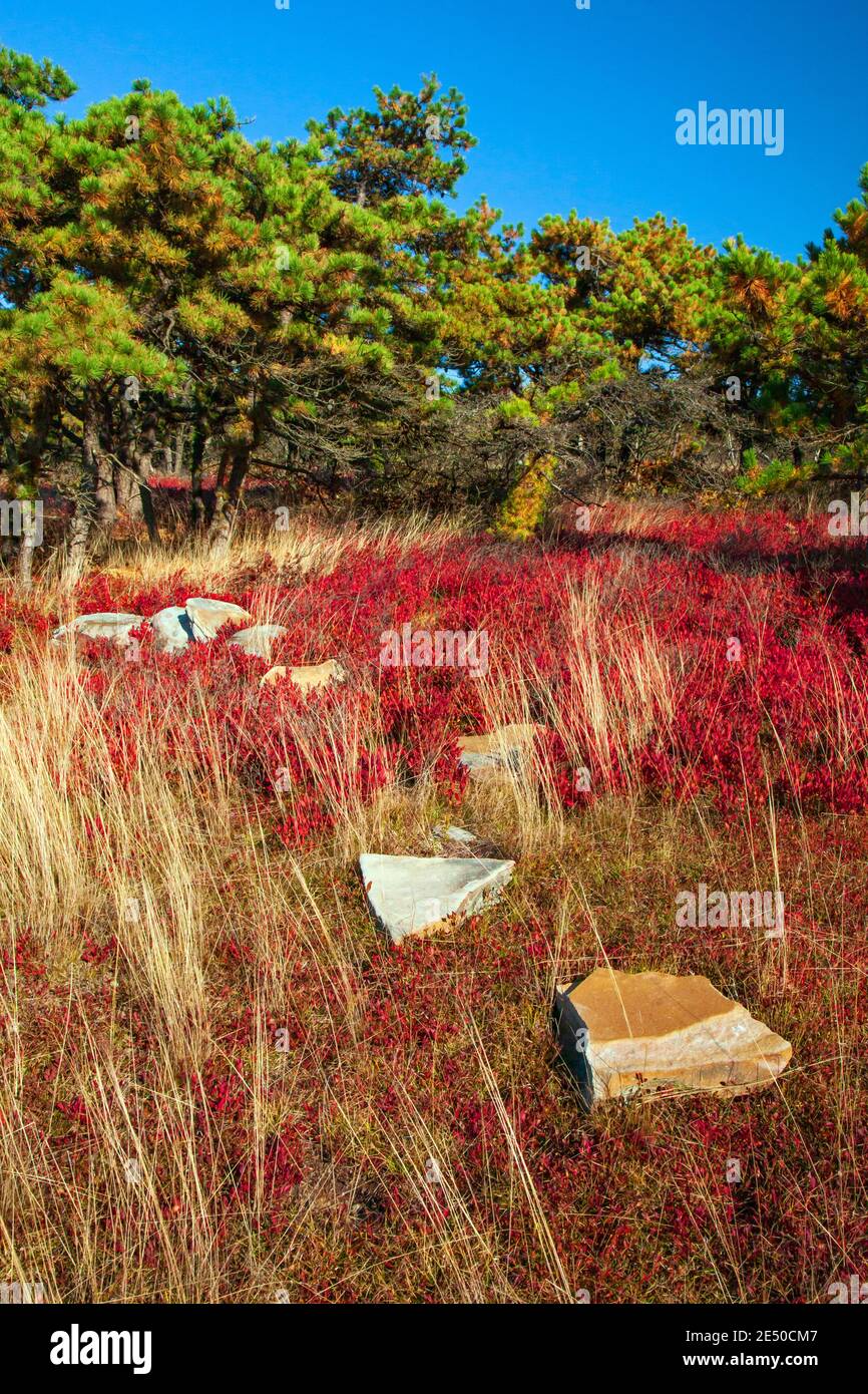 Moosic Mountain in Lackawanna County, Pennsylvania encompasses 15,000 ...