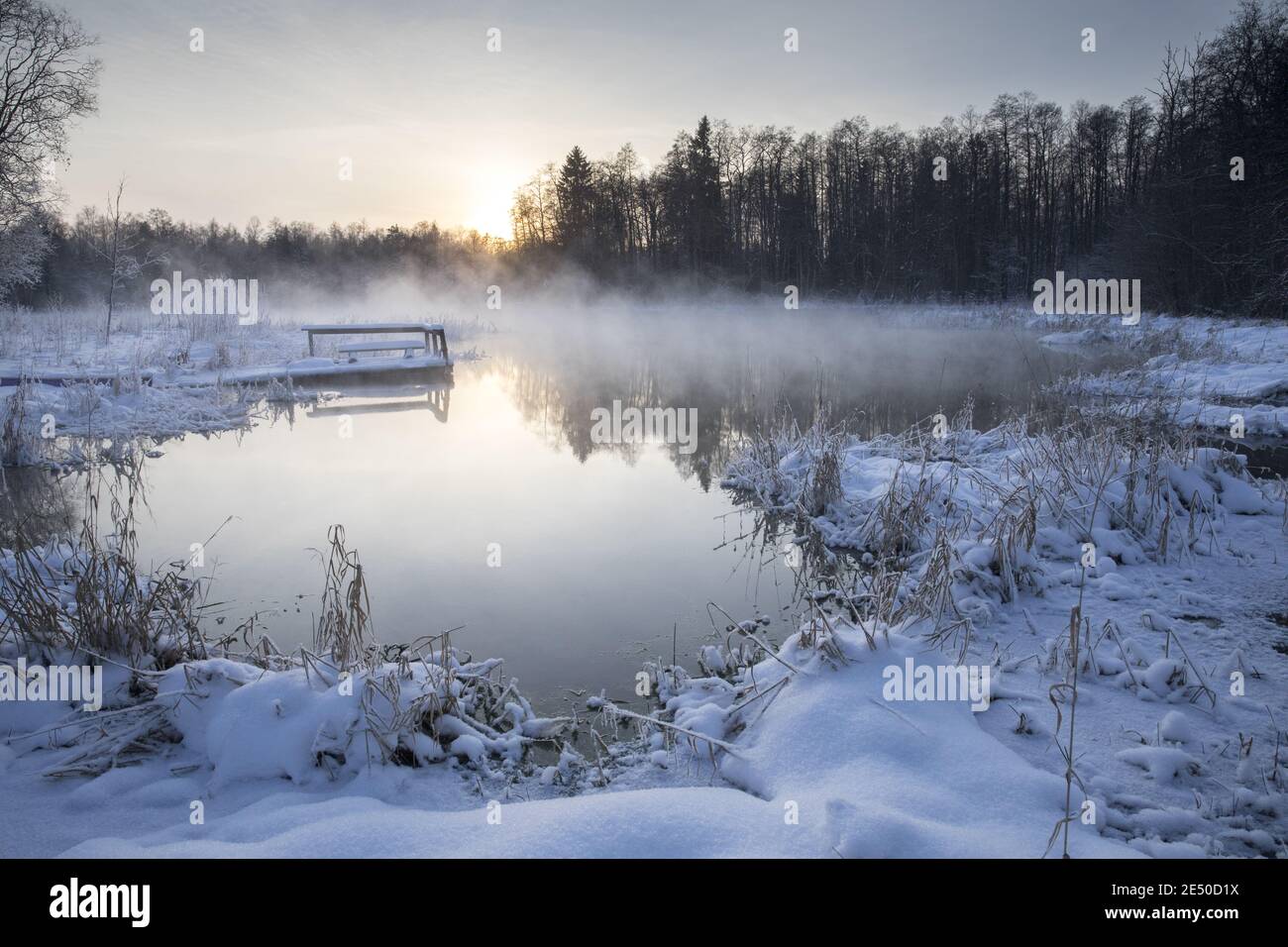 Beautiful scenery of the natural groundwater spring with the heavily ...