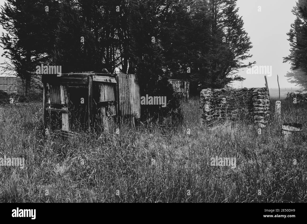 Abandoned buildings in Humuula Sheep Station on the slopes of Mauna Kea ...