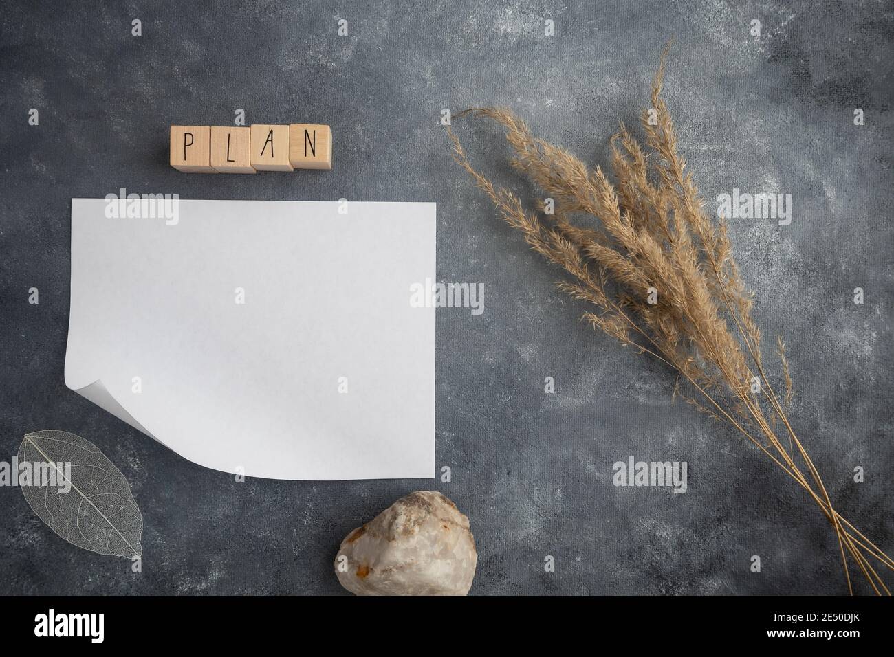 Blank paper, word - plan on wooden cubes, pampas grass and stone on a ...