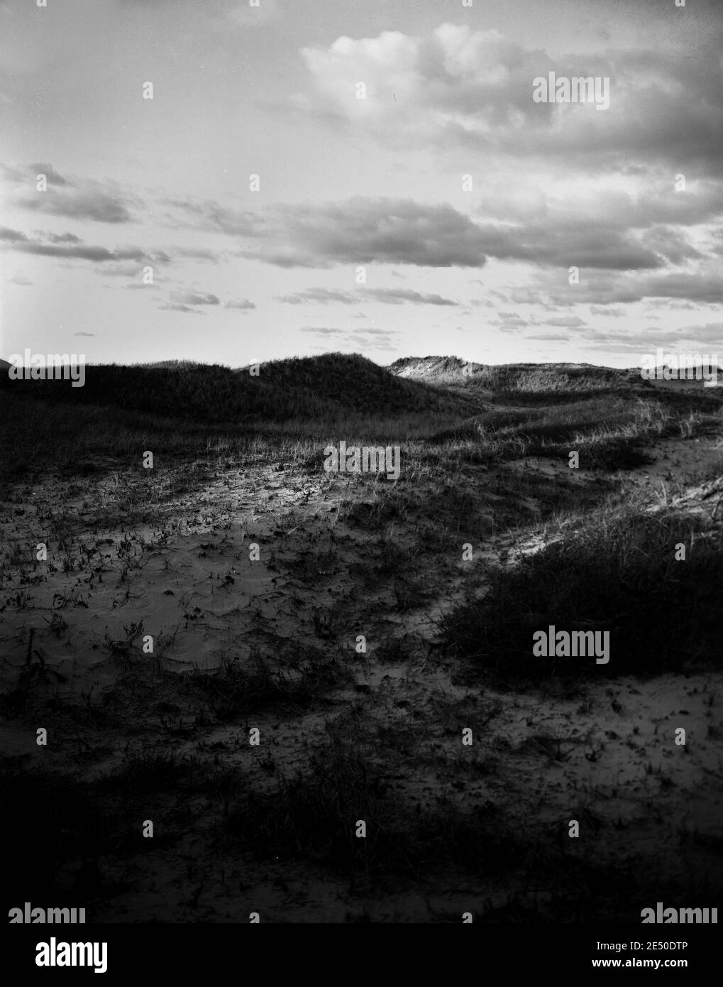 From ilford Black and White Stock Photos & Images - Alamy