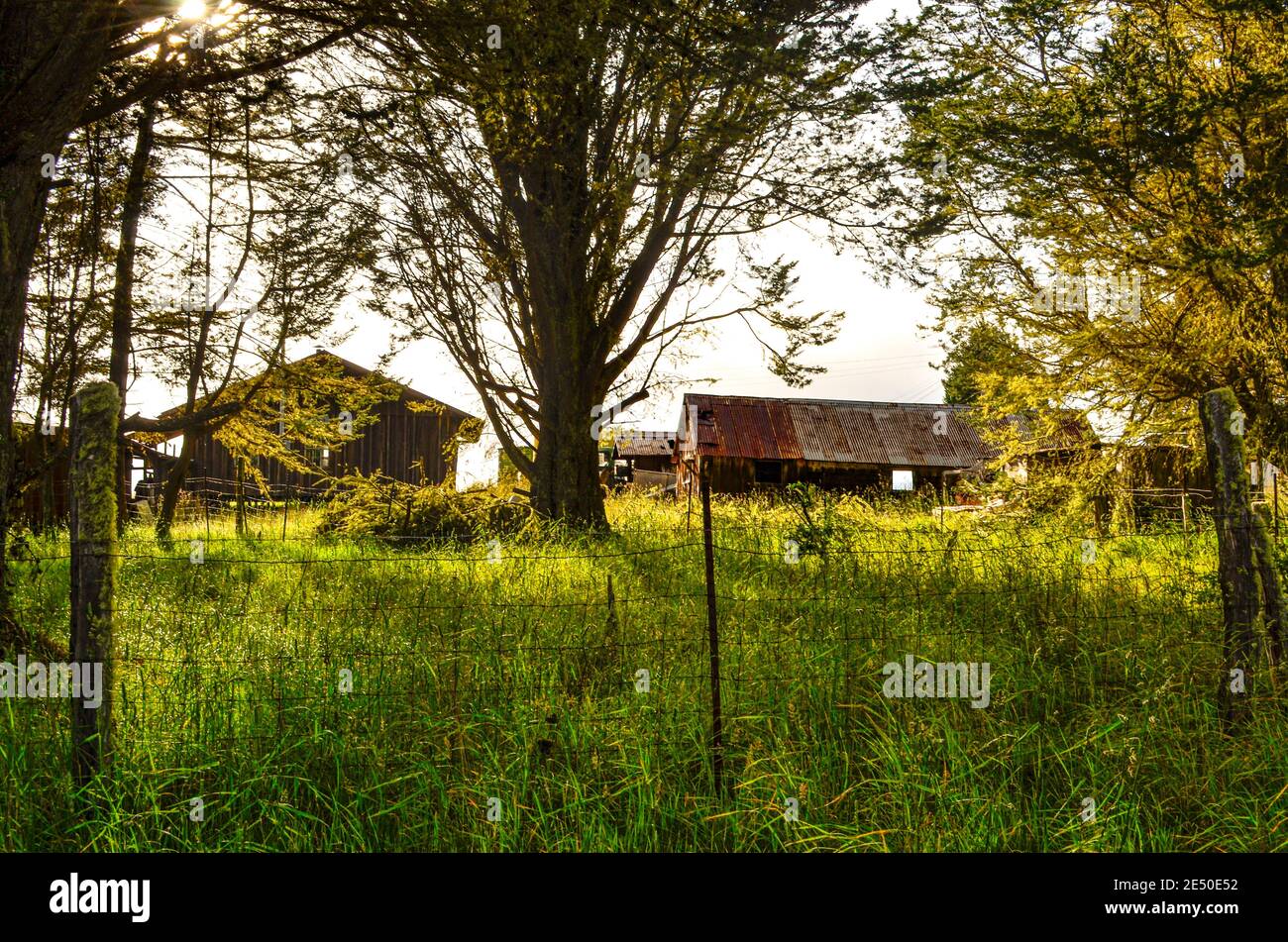 Abandoned buildings in Humuula Sheep Station on the slopes of Mauna Kea ...