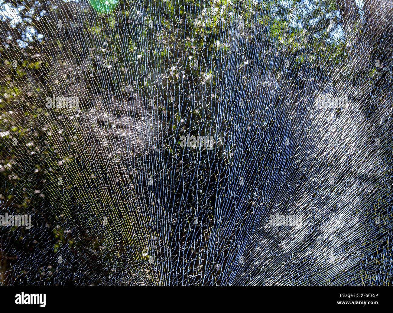Shattered glass hi-res stock photography and images - Alamy