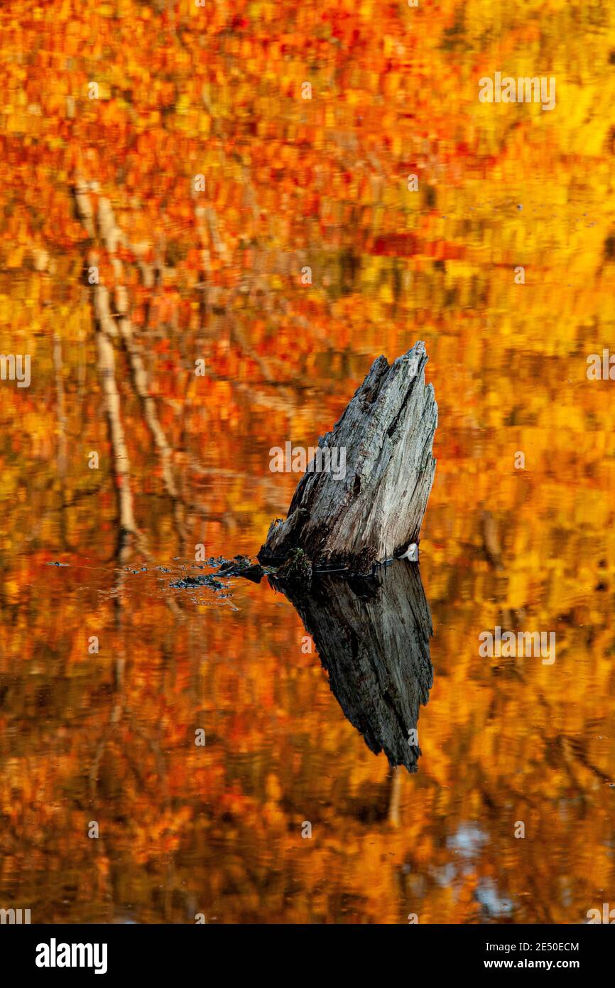 Fall colors and reflections, Delaware Water Gap, PA Stock Photo - Alamy