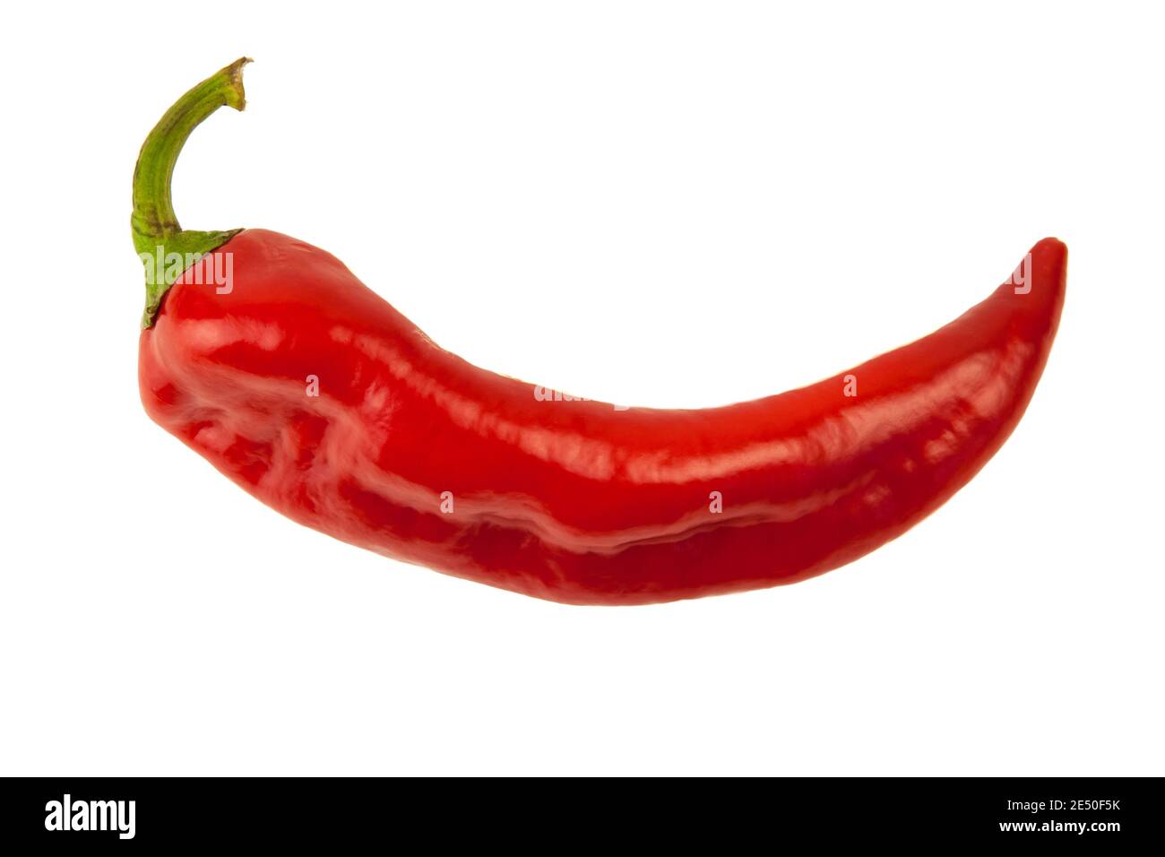 Fresh sweet long pepper isolate on white background. Side view Stock ...