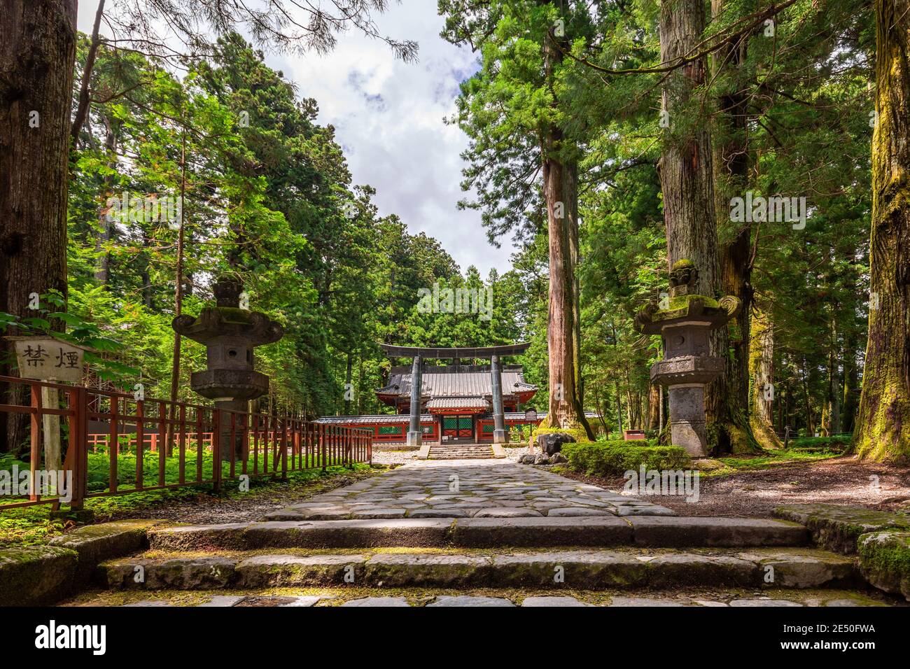 Stone pathway forest hi-res stock photography and images - Alamy