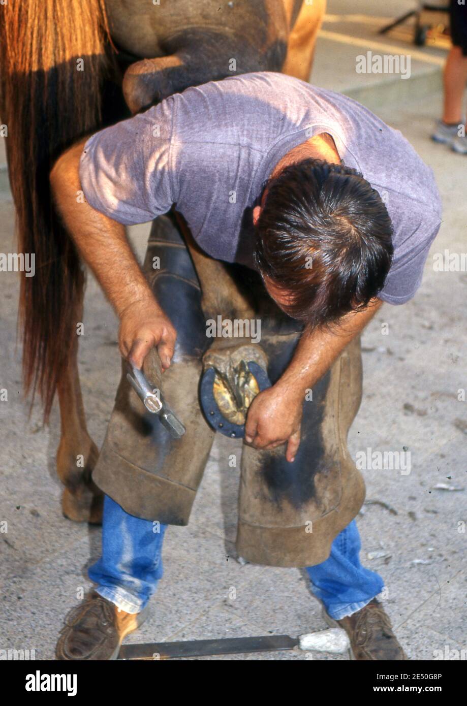 Farrier at work hi-res stock photography and images - Alamy