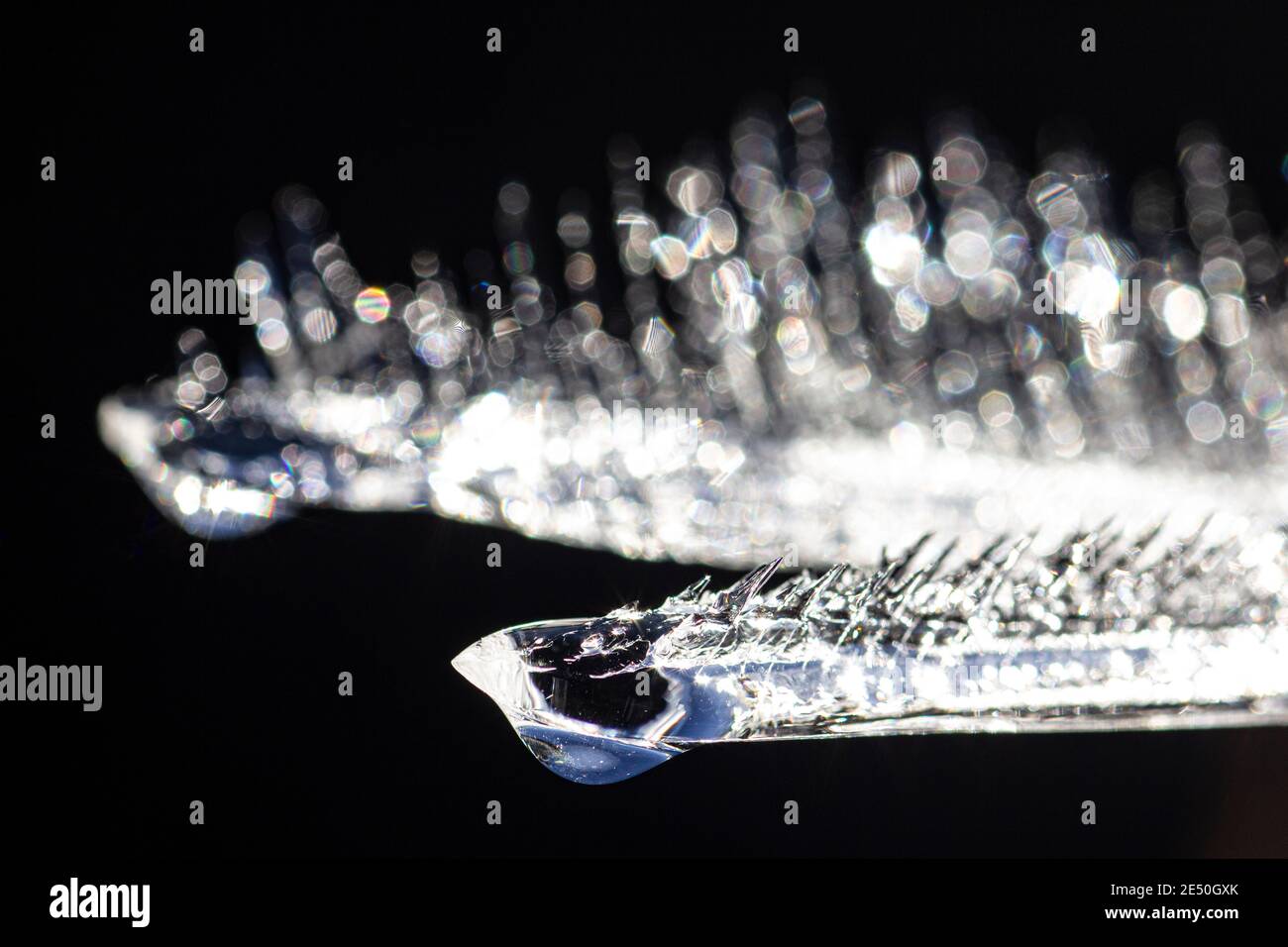 Ice formations macro hi-res stock photography and images - Alamy