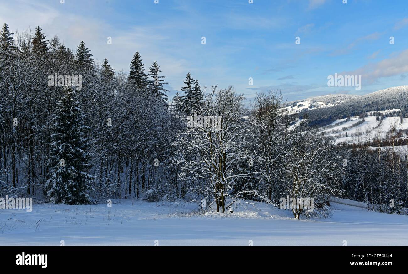 Pure white snow hi-res stock photography and images - Alamy