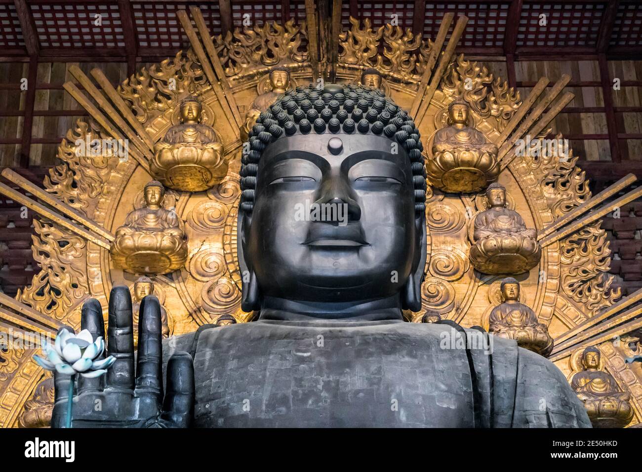 Statue of buddha nara hi-res stock photography and images - Alamy