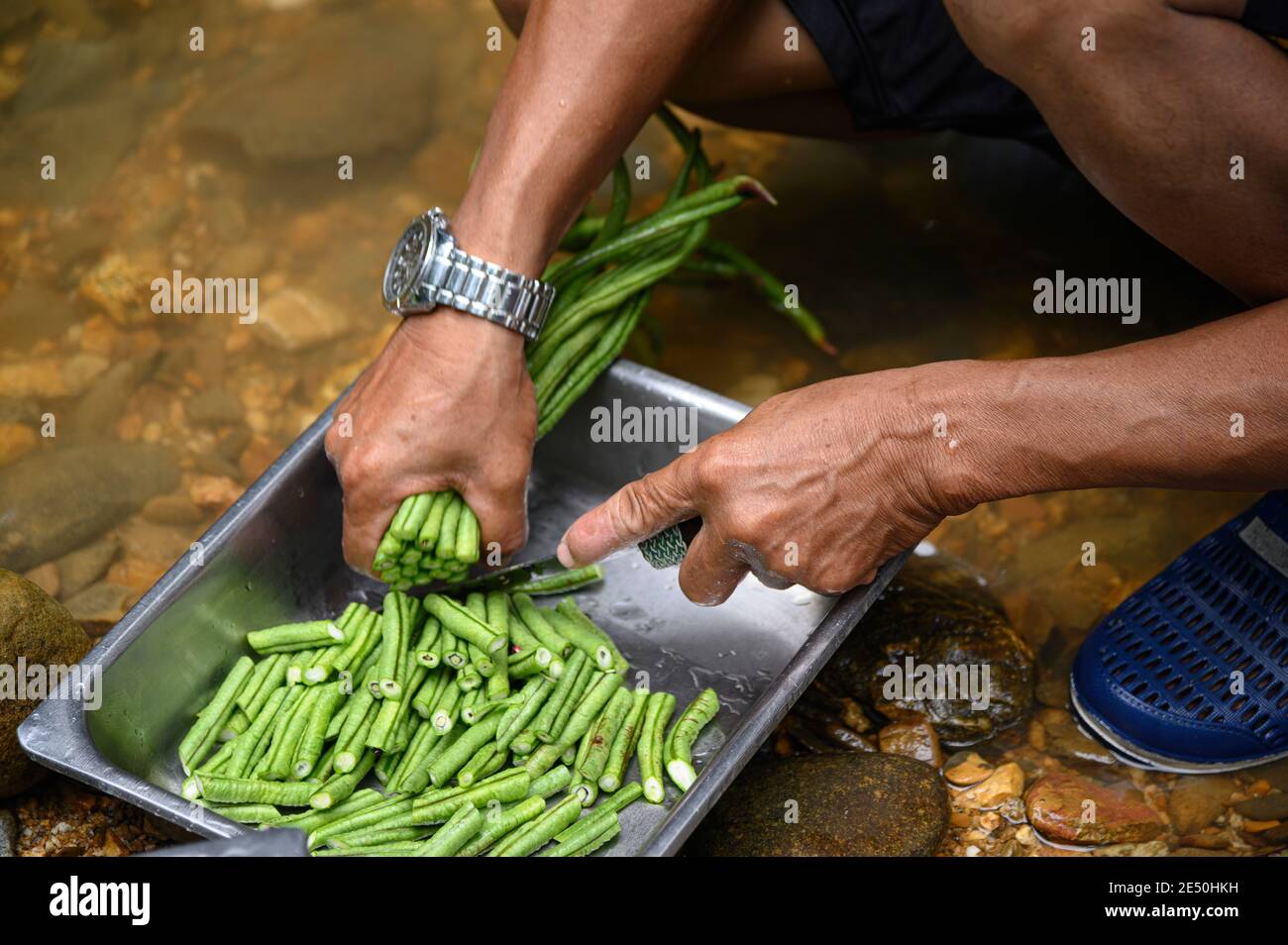 Slicing green beans hi-res stock photography and images - Alamy