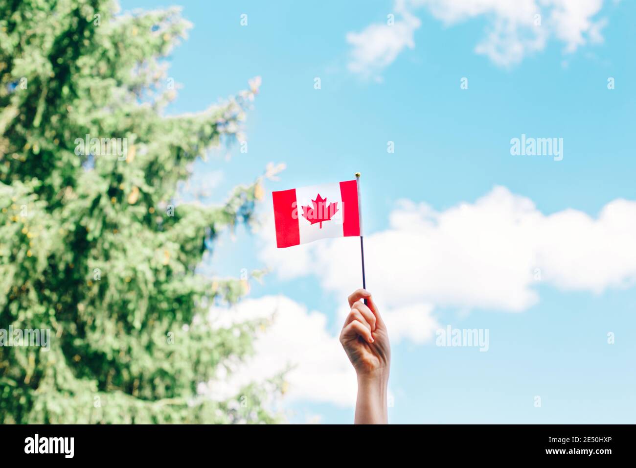 Closeup of woman human hand arm waving Canadian flag against blue sky ...
