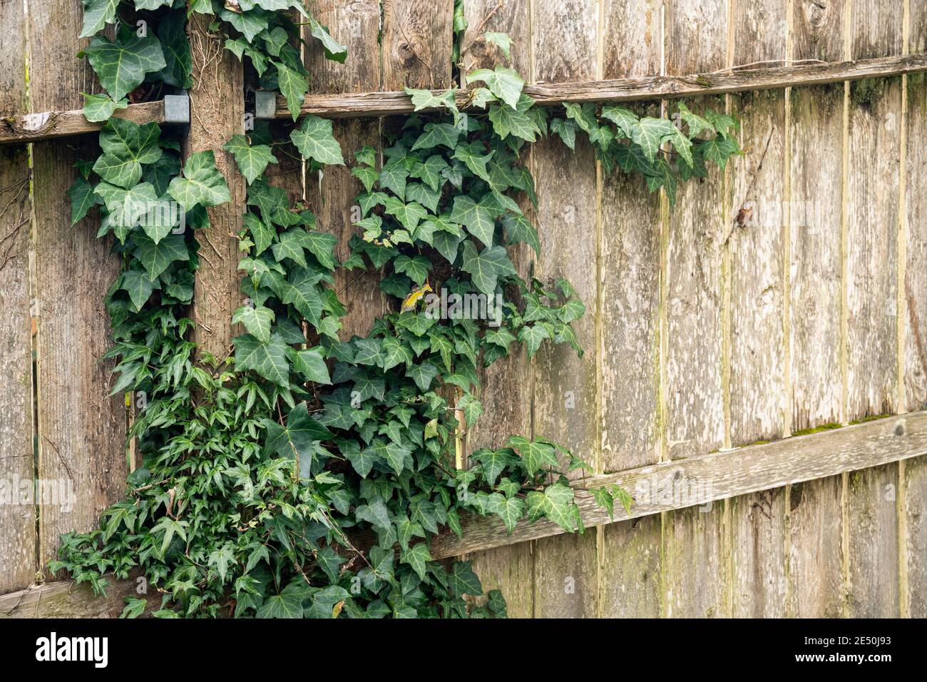 Beautiful rustic wooden fence hi-res stock photography and images - Alamy