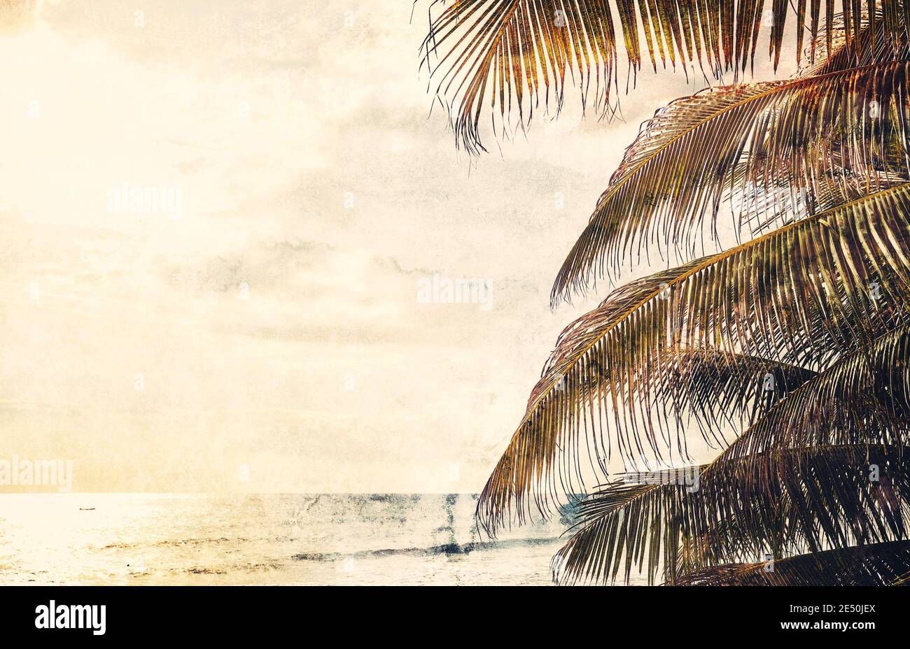 Retro Palm Wallpaper