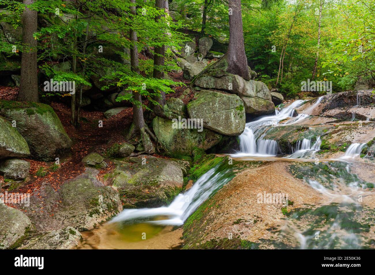 Sudetes, the Karkonosze Mountains, Myja stream, Poland Stock Photo - Alamy