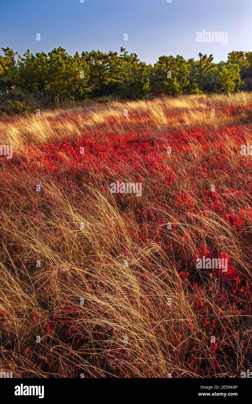Moosic Mountain in Lackawanna County, Pennsylvania encompasses 15,000 ...