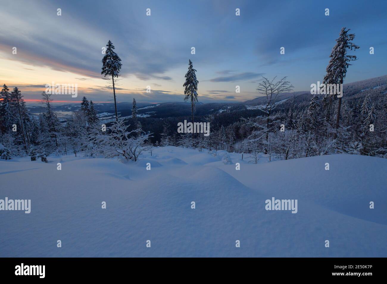 Pure white snow hi-res stock photography and images - Alamy