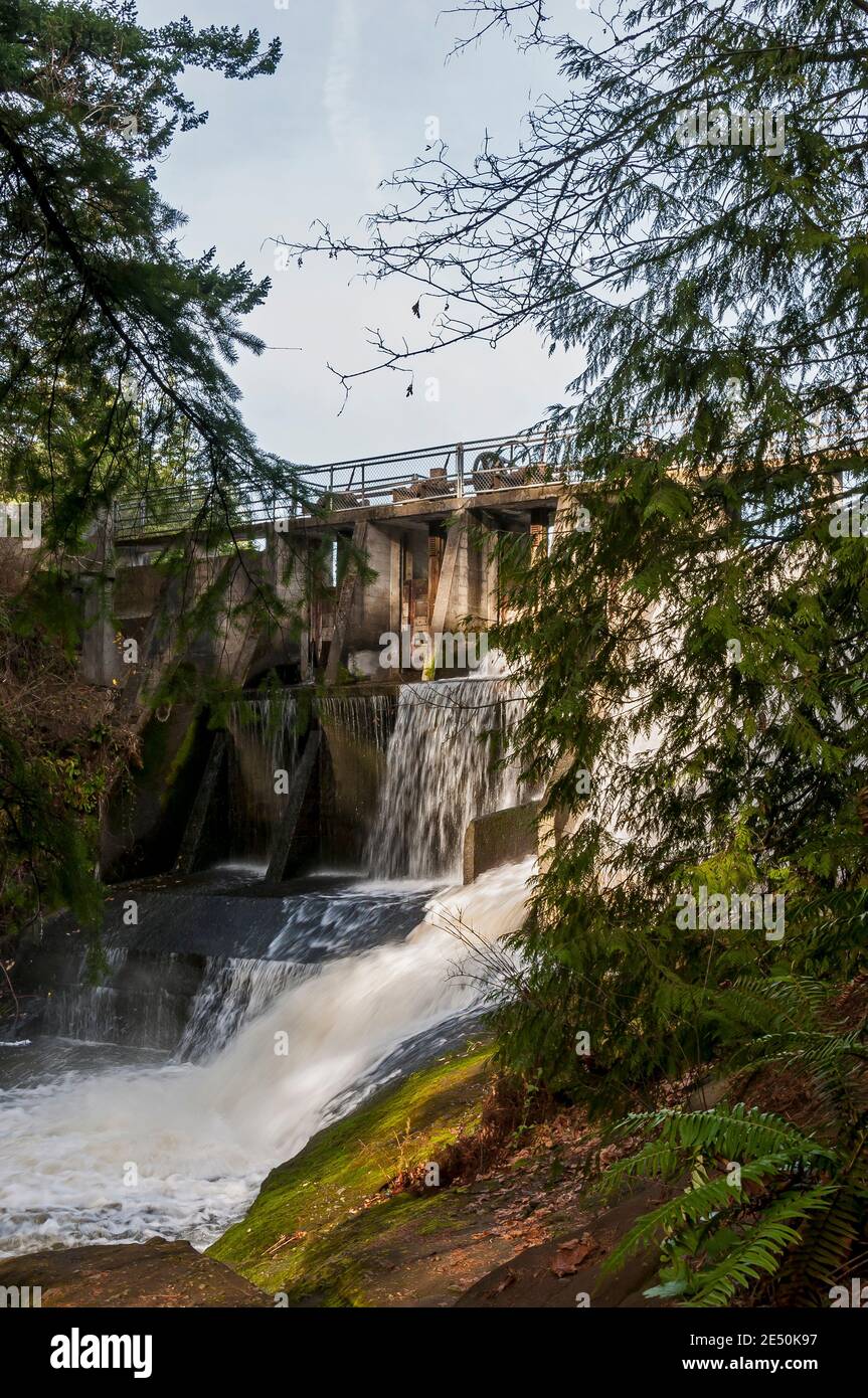Some falling water through the spillway at the dam at Lacamas Creek in ...