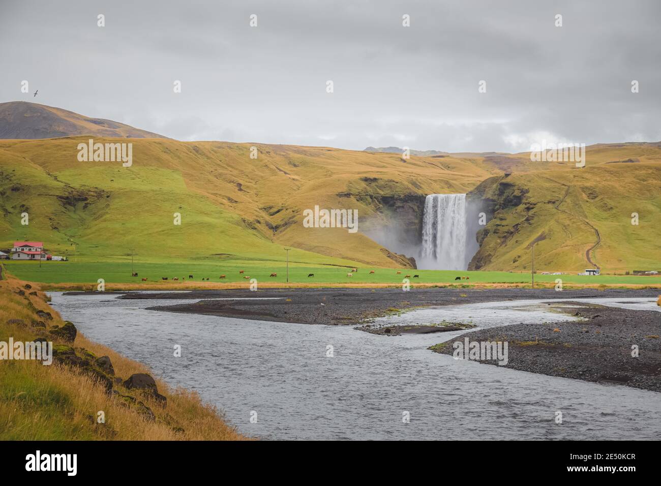 Riany day hi-res stock photography and images - Alamy