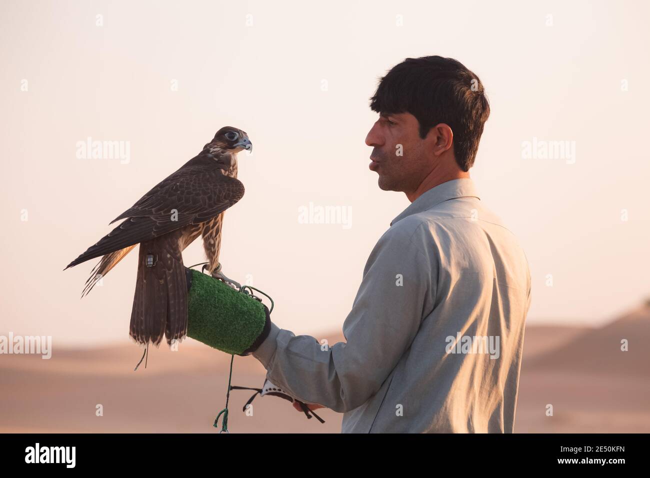 Abu Dhabi, UAE - October 6 2017: A traditional Emirati falconer and his ...
