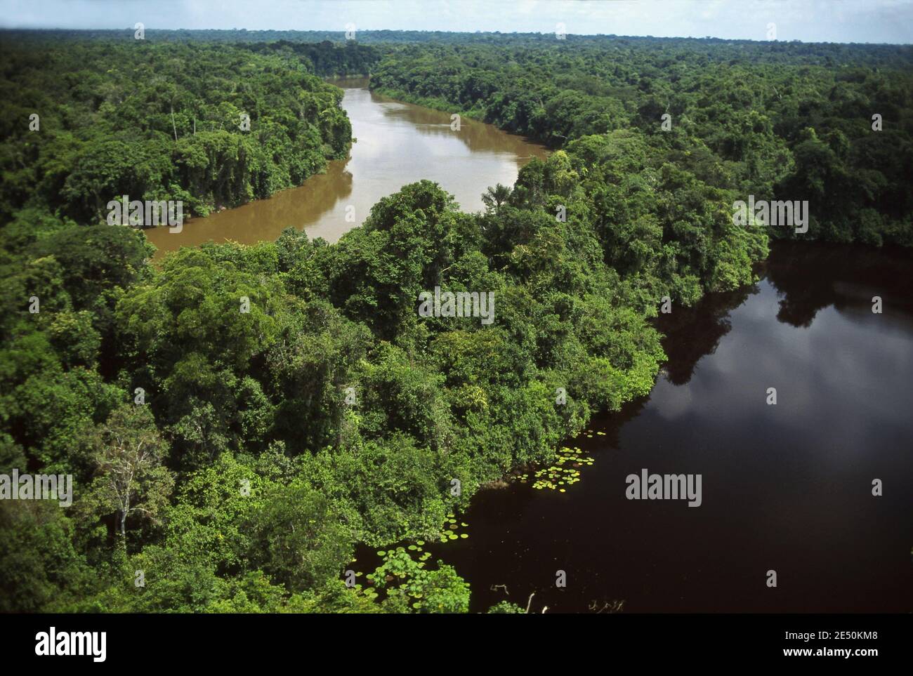 Amazon biome hi-res stock photography and images - Alamy