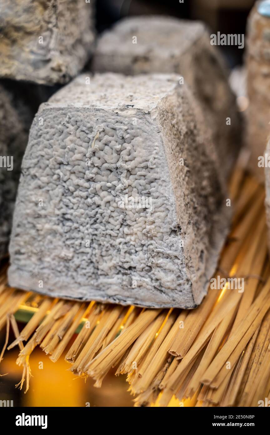 Loire valley goat cheese hi-res stock photography and images - Alamy