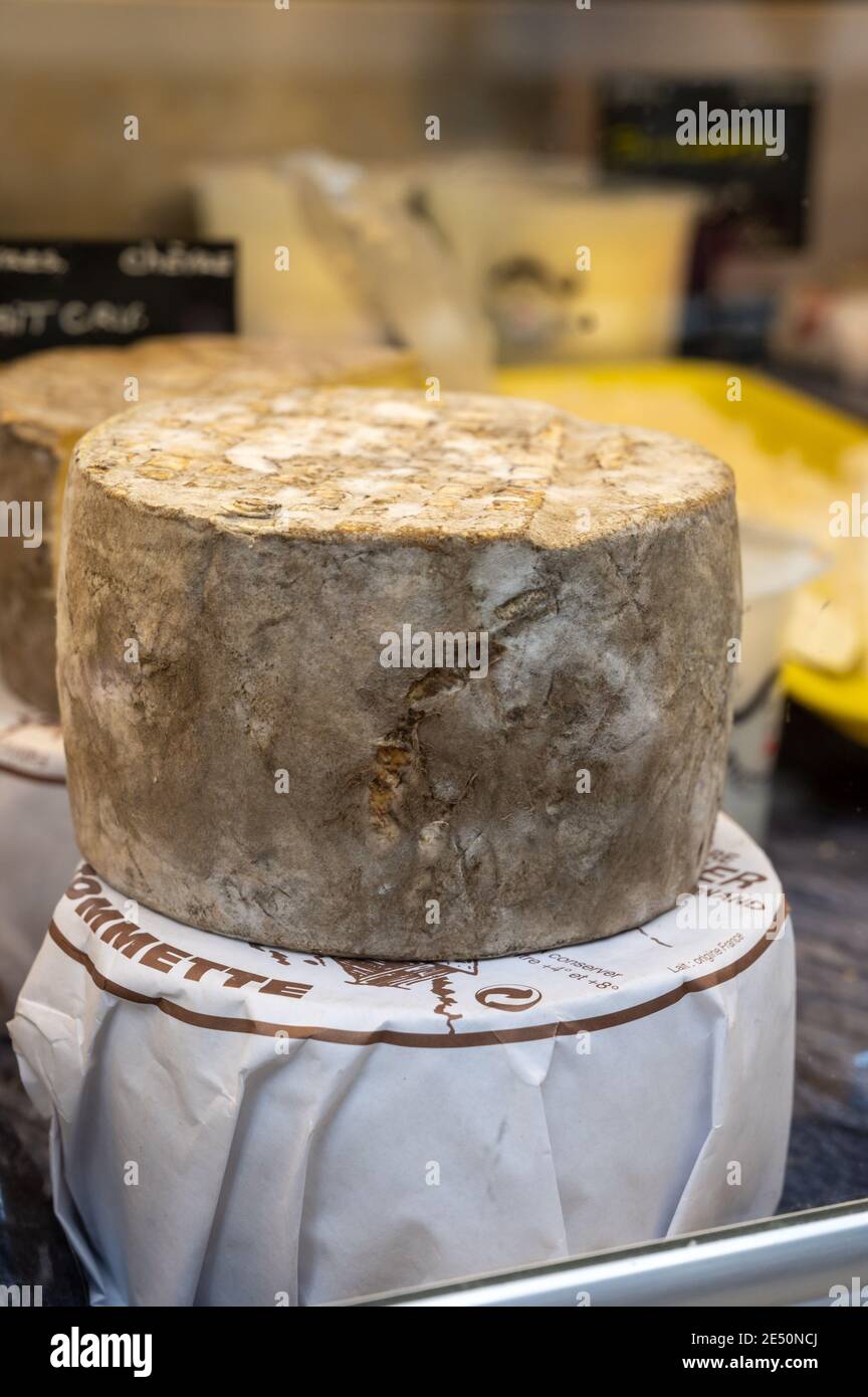 Cheese collection, French grey cheese made from goat milk in region ...