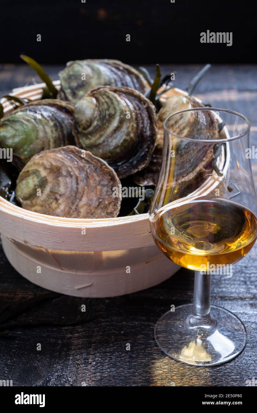 Food and drink pairing, Fresh raw European flat oysters grown in ...