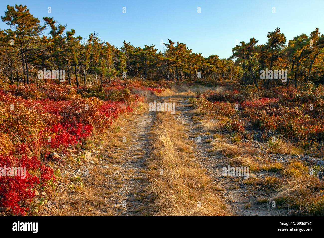 Barren lands hi-res stock photography and images - Alamy