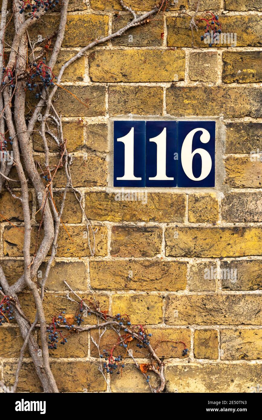 Number 116 in tiles on a brick wall with rankng vines Stock Photo - Alamy
