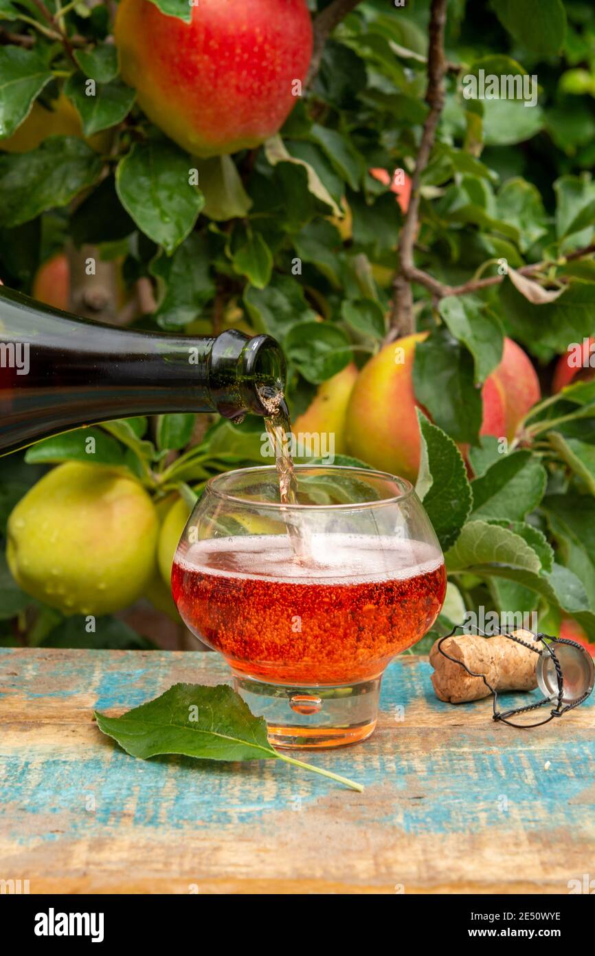 Pouring of rose apple cider from Normandy in glass, France and green ...