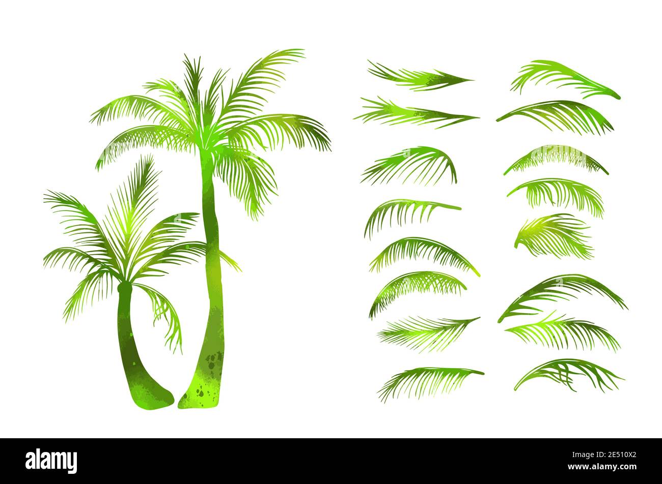 green Palm trees. Palm leaves. Vector illustration Stock Vector Image ...