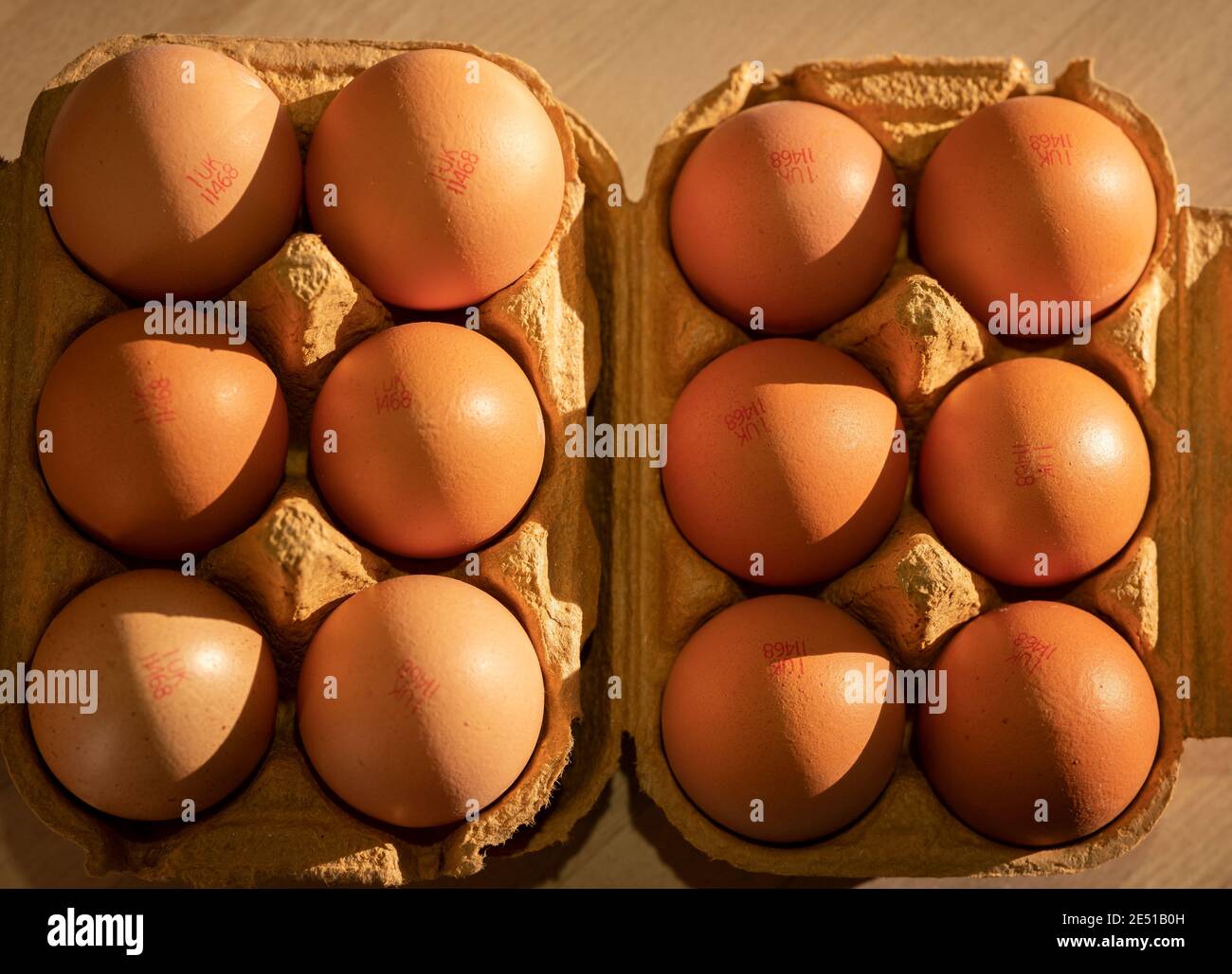 Nutrition class hi-res stock photography and images - Alamy