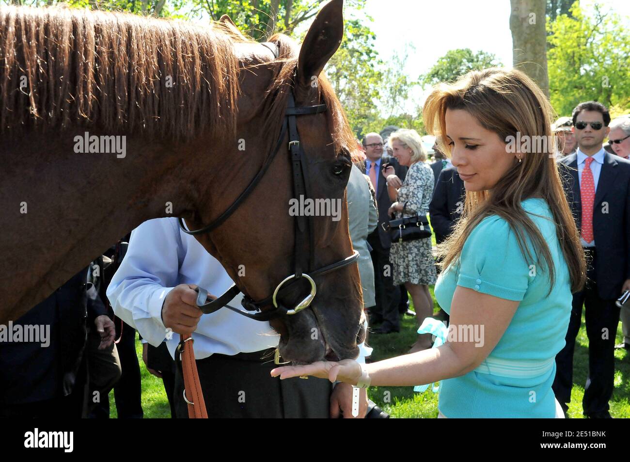 Princess Haya Bint Al Hussein Horse