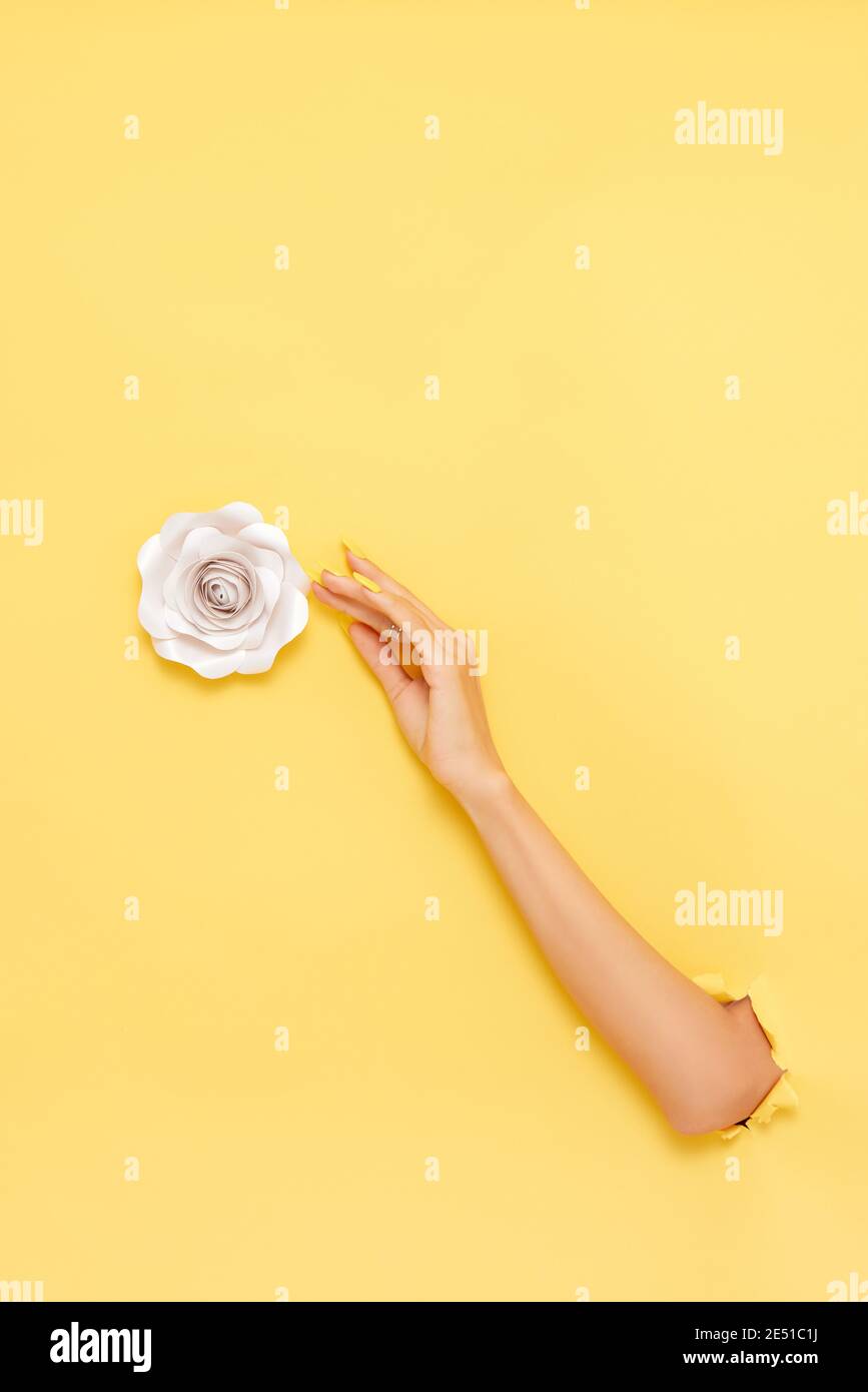 Vertical shot hand grabbing hi-res stock photography and images - Alamy